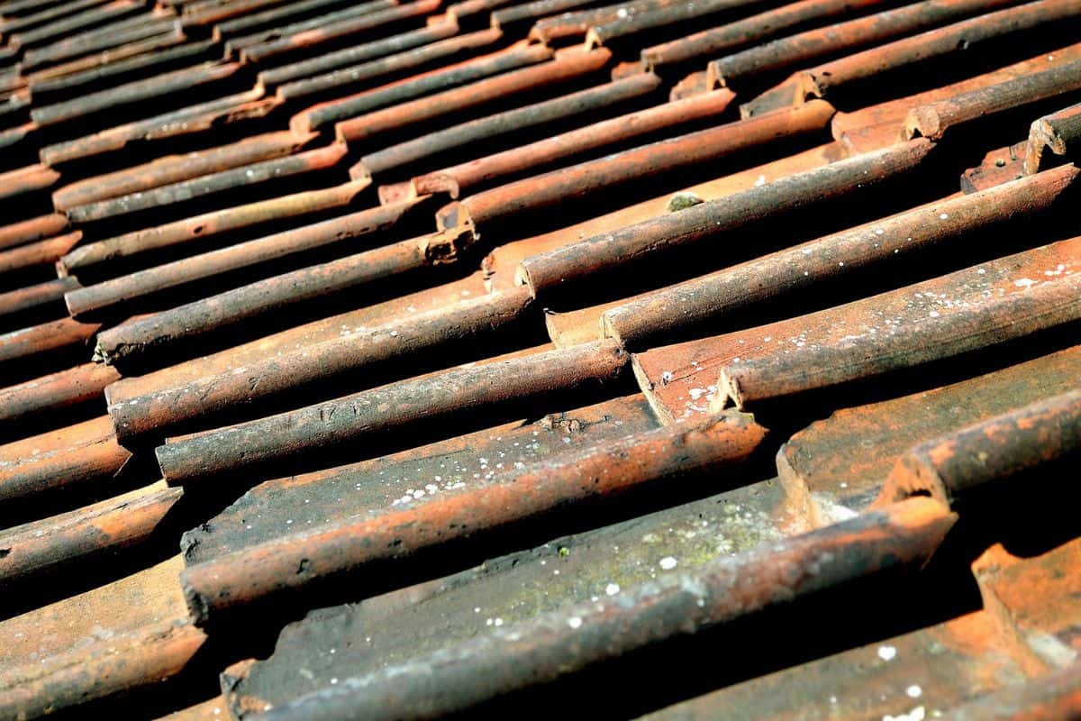 Can You Paint Over a Rusted Metal Roof? - Residential & Commercial ...